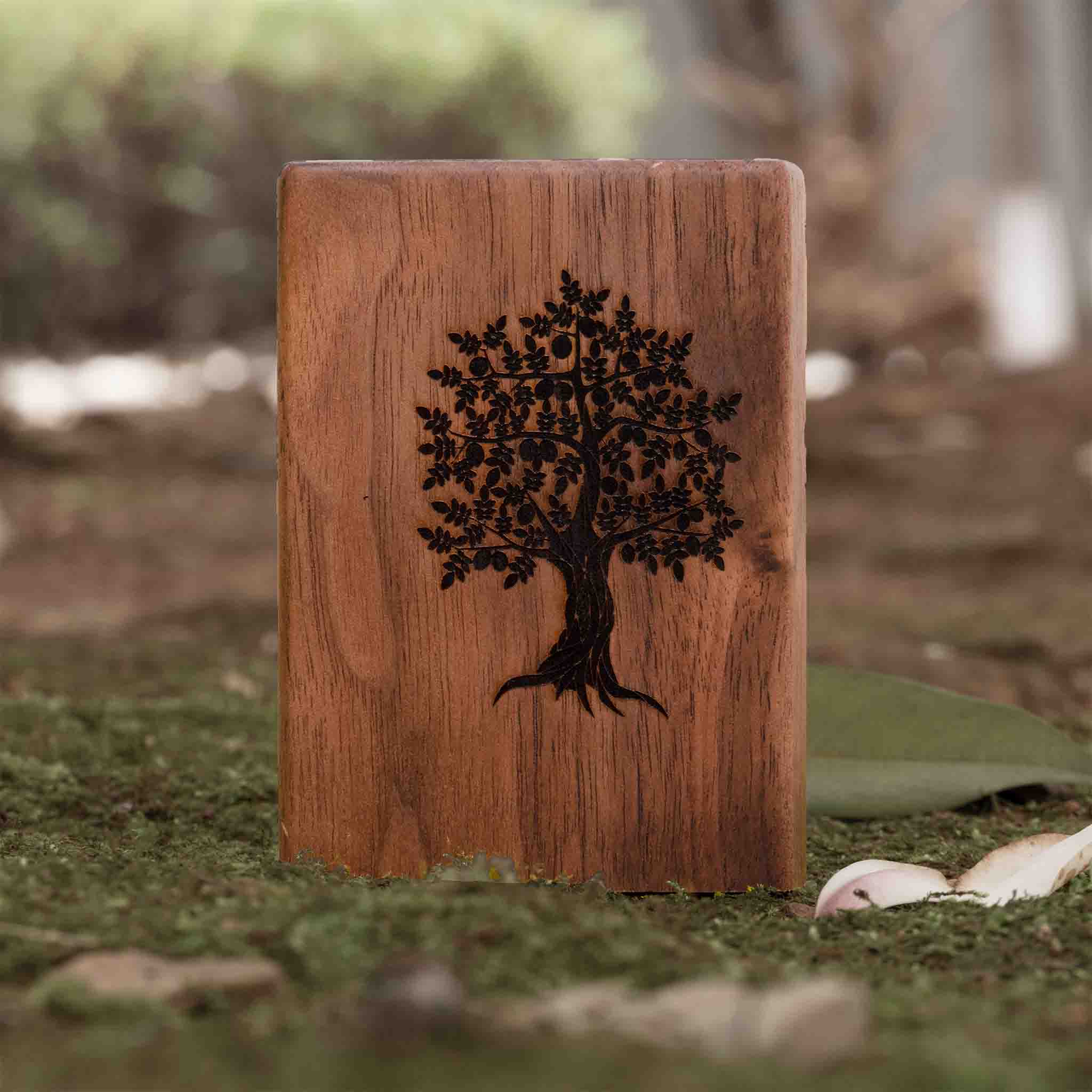 Our Story – Loha Custom